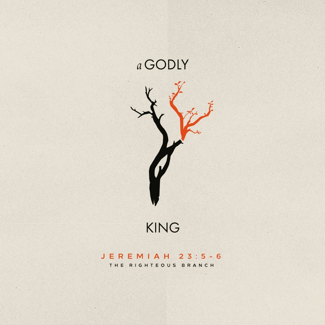 Advent 18: The Righteous Branch | Snowbird Wilderness Outfitters