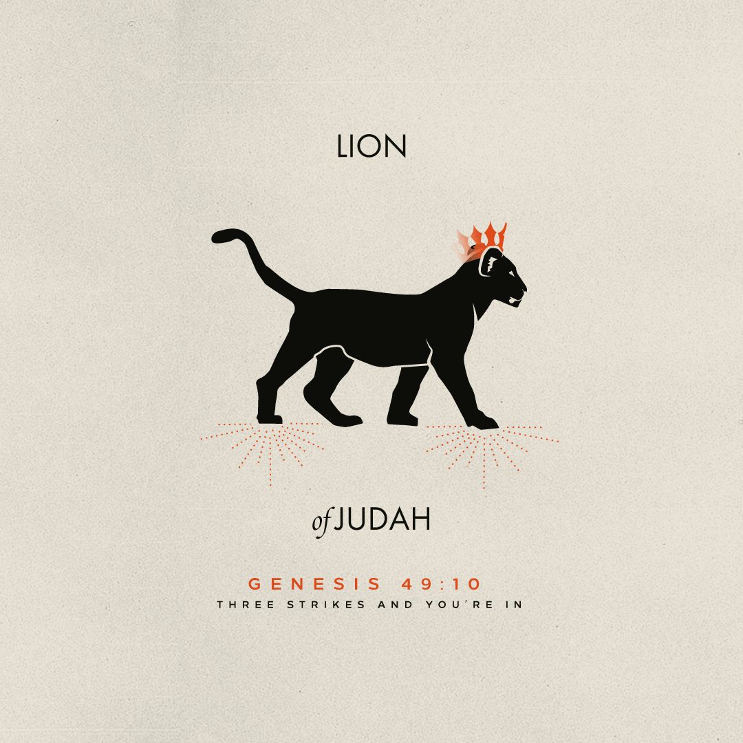 Advent 8: Three Strikes And You're In | Snowbird Wilderness Outfitters